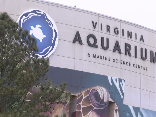 Ripley's Entertainment, Dollywood owners show interest in Virginia ...