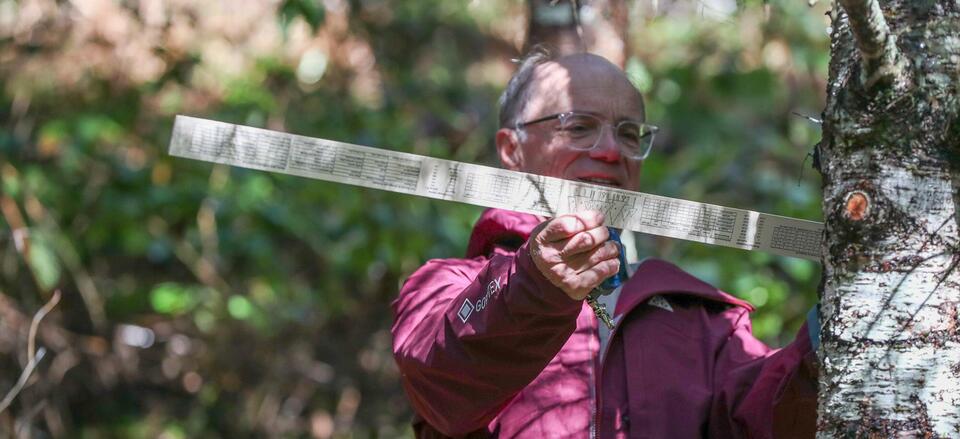 OSU Woodland Stick simplifies tree measurements for landowners - NewsBreak