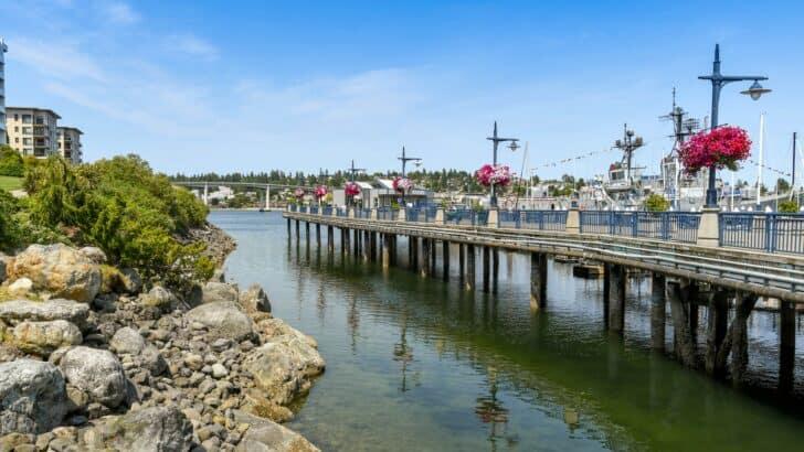 Mysterious Deep-Sea Creatures Lurking Near the Washington Coast - NewsBreak