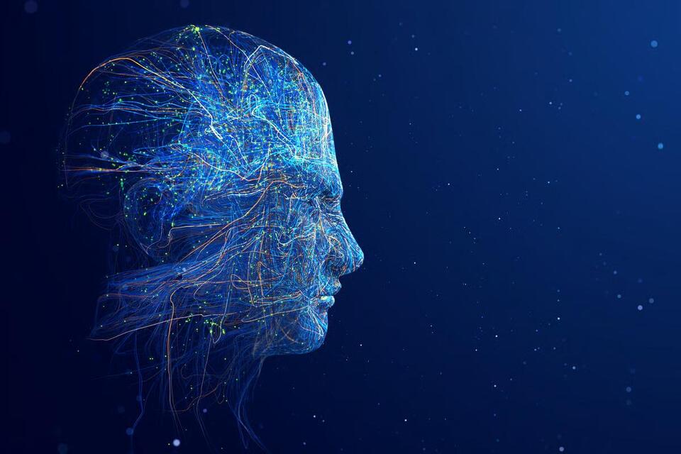 Slaying the dragon of death: Silicon Valley’s race for immortality ...