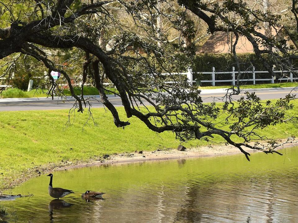 5 things to know about Sloop Point in Pender County