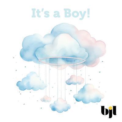 Mazel Tov To Shmuli & Tehila Schafler On The Birth Of A Son - NewsBreak