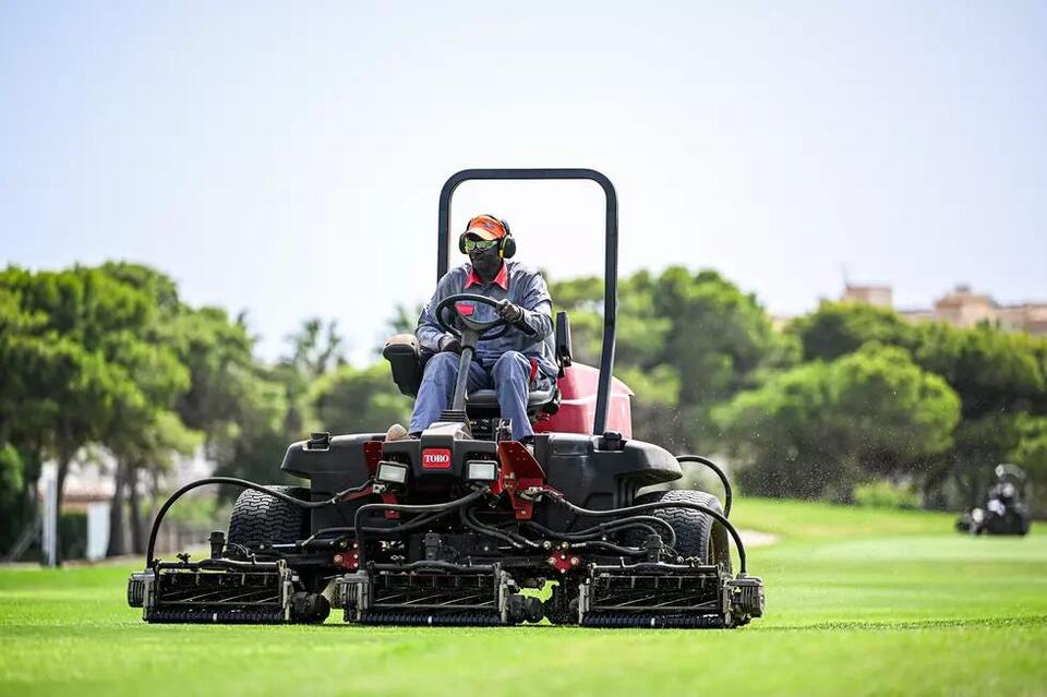 ‘No Mow May’ is Illegal in Most Towns in New York State - NewsBreak