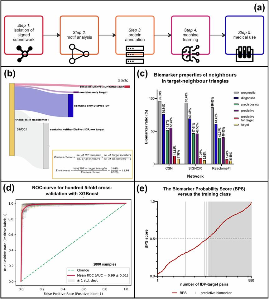 MarkerPredict: predicting clinically relevant predictive biomarkers ...