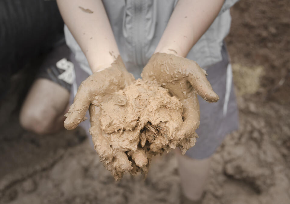 6 Low-Cost Ways to Improve Heavy Clay Soil for Better Plant Growth ...