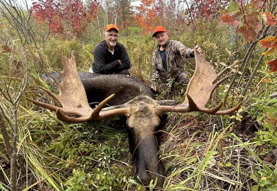 Here are some of the biggest moose shot in Maine this week - NewsBreak