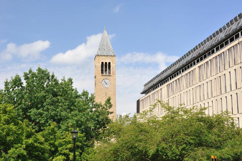 Cornell University junior arrested for 'horrific, antisemitic threats ...