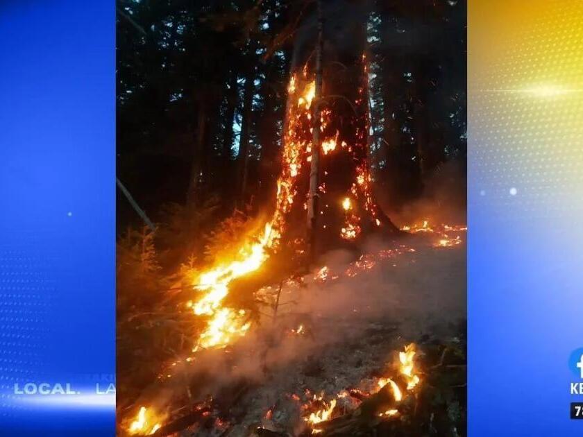 Fire crews searching for lightning-caused fires
