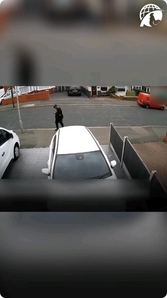Disturbing CCTV Footage Shows Tragic Murder Shorts - NewsBreak
