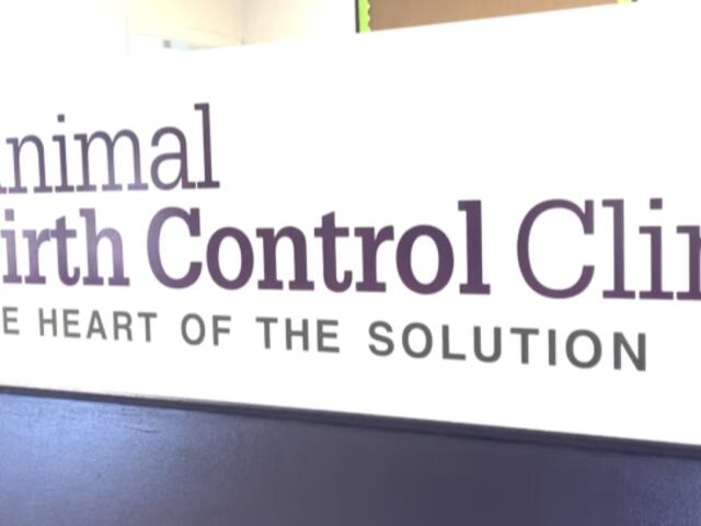 Waco's Animal Birth Control Clinic provides affordable spay, neuter ...