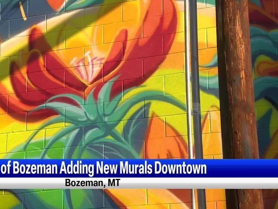 Bozeman transforms alleyways with new mural project
