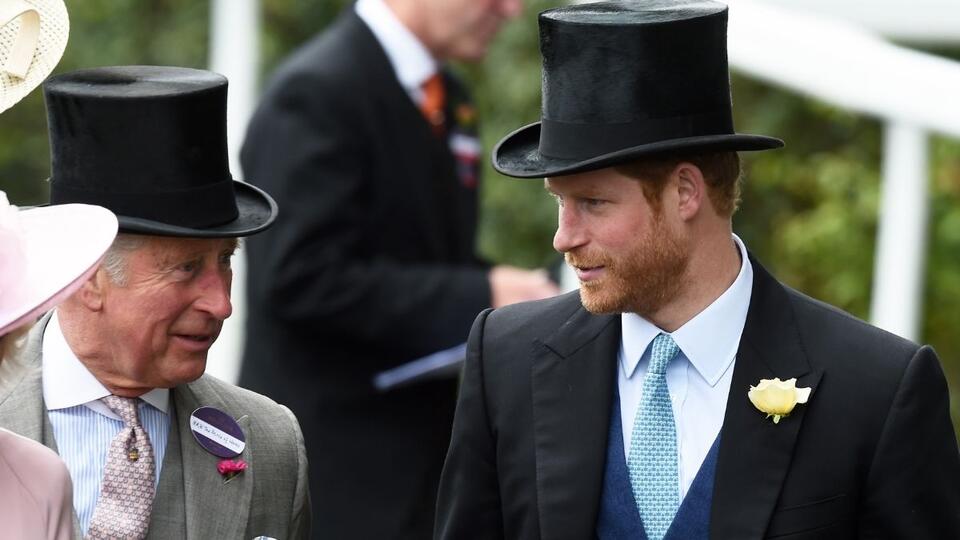 Prince Harry & King Charles Reunion Possible Through Common Interests ...