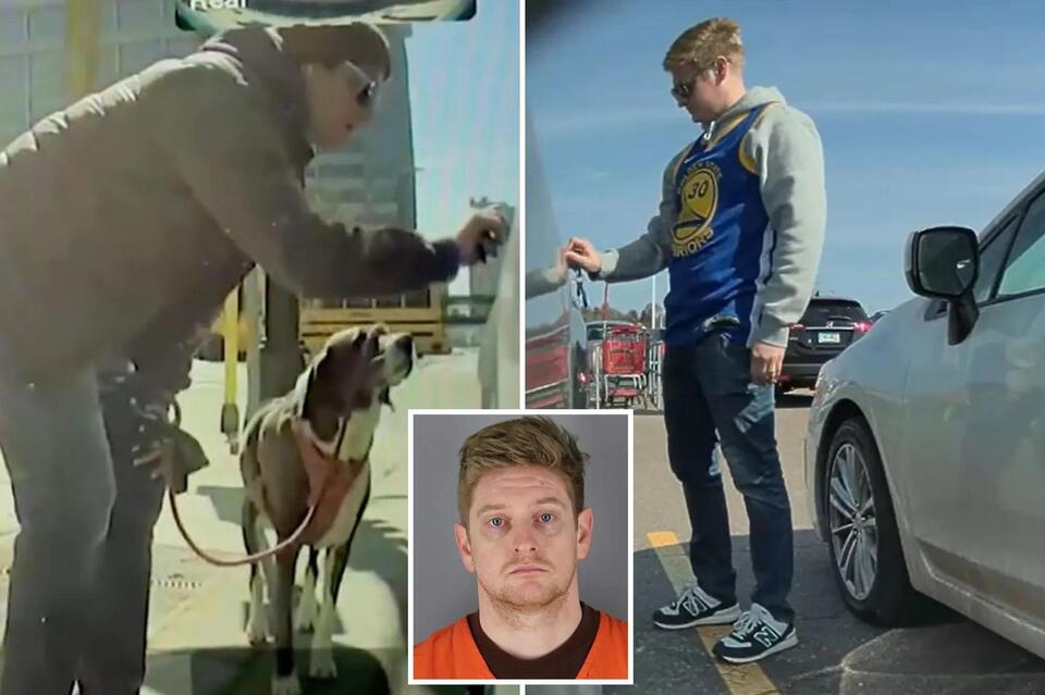 Minnesota state employee who allegedly caused over $20K in damages to ...