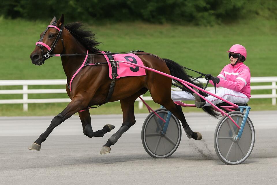 Racing with Heart: Women Drivers Lead Delaware’s “Pink Pace” at ...