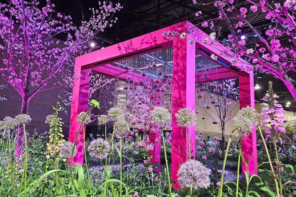 Inside the must-see 2026 Philadelphia Flower Show - NewsBreak