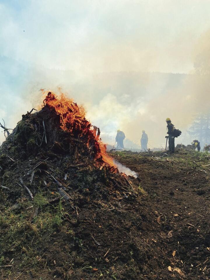 All ODF district are now in fire season - NewsBreak