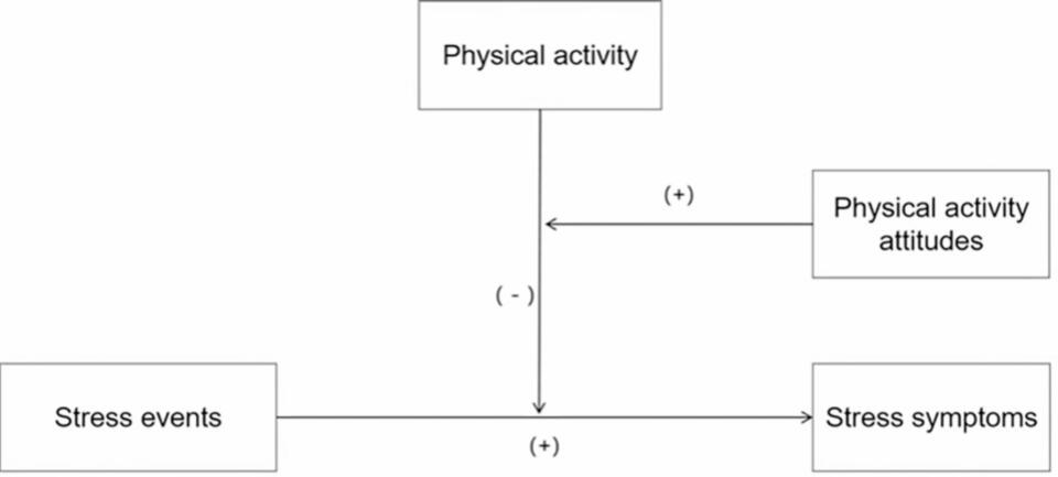 Stress buffering effects of physical activity in adolescents: the ...