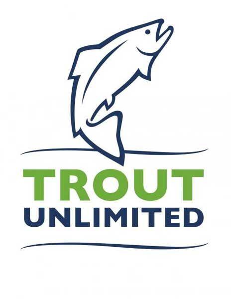 TALKING TROUT: Is there a best time to fish? - NewsBreak