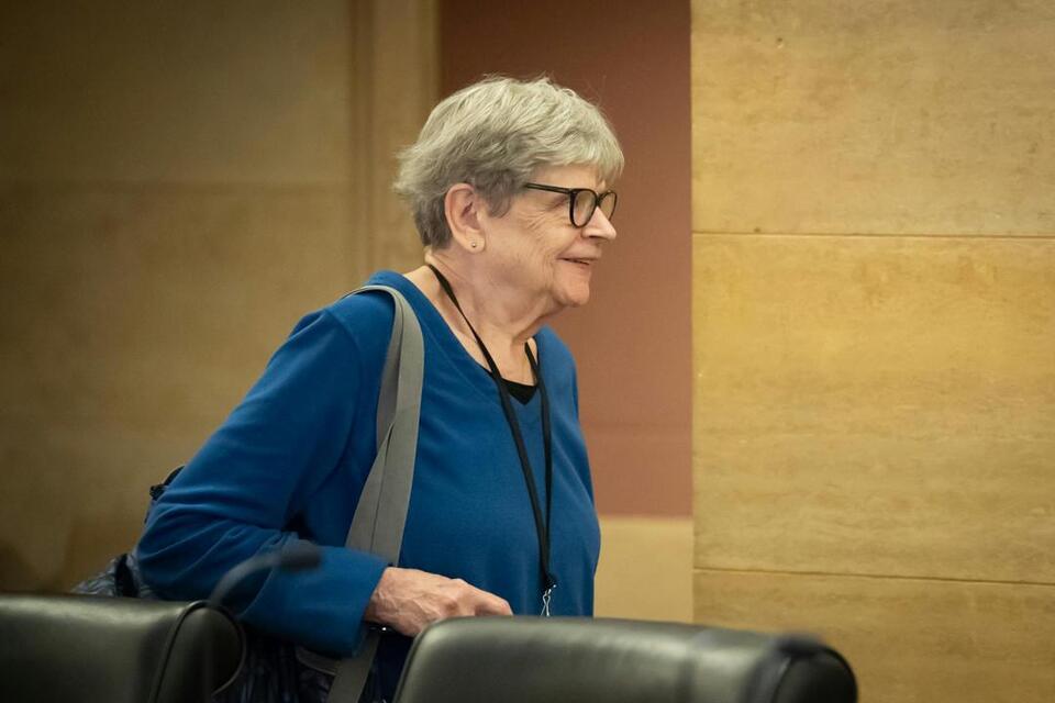 DFL Sen. Ann Rest announces her retirement after 40 years in office ...