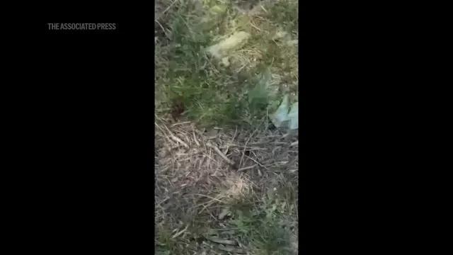 Dramatic moment of attack on Iran's biggest bridge - NewsBreak