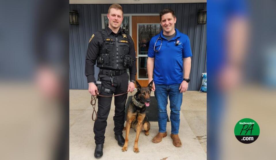 Union County K9 sniffs out alleged dog-snatcher - NewsBreak