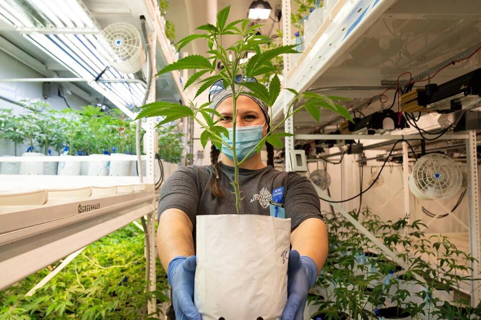 Hamilton Township, NJ Has A New Cannabis Dispensary; Here’s where it is ...