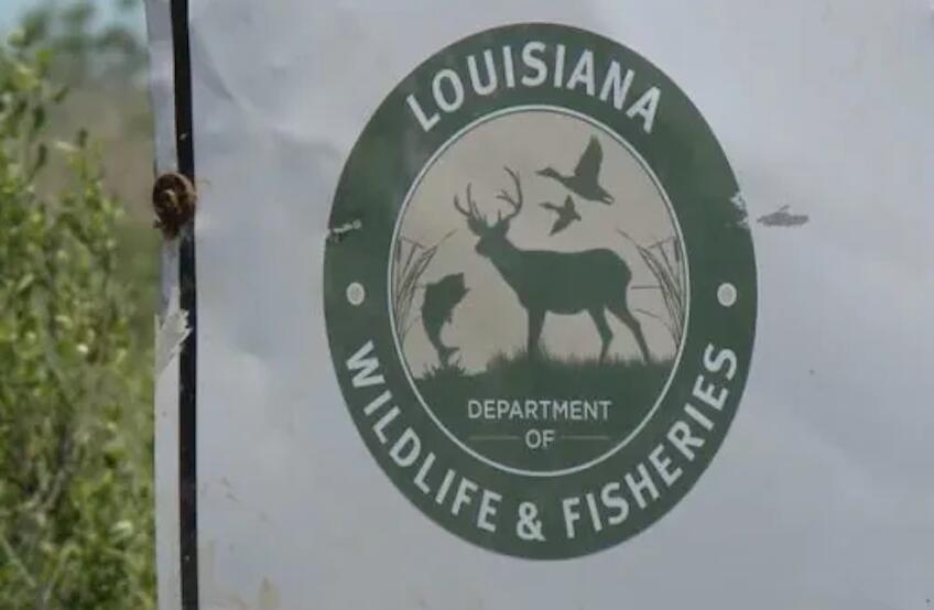 Crusel Tract parking area on Maurepas Swamp WMA closed for repairs ...