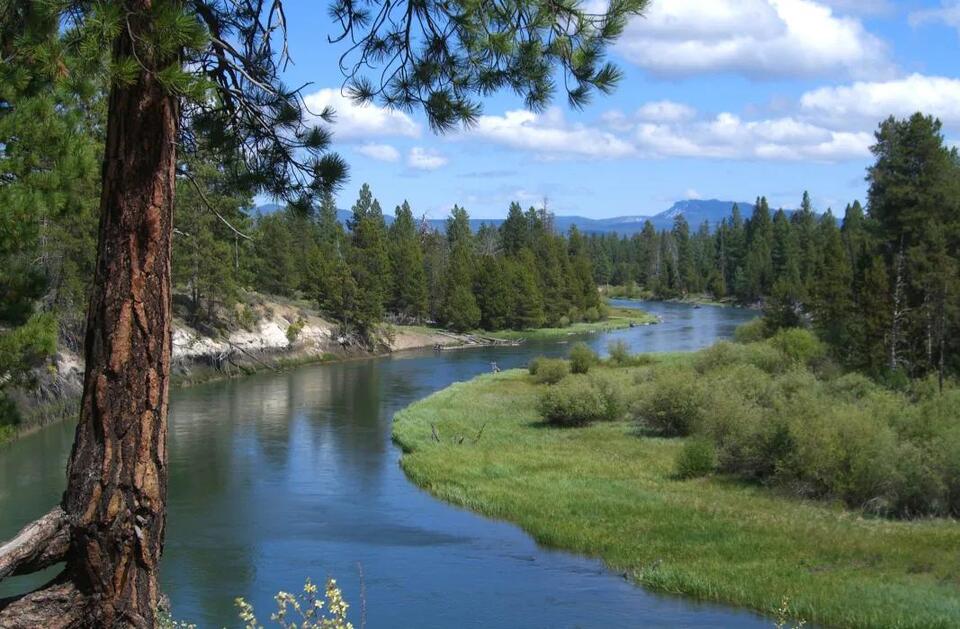 Oregon State Parks raising visitor fees; day-use parking fees to take ...