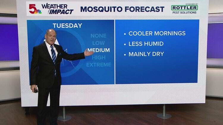 Weather Impact forecast for St. Louis: Cool start to Tuesday - NewsBreak