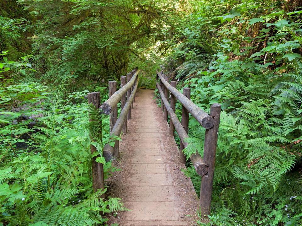 Confederated Tribes of Coos, Lower Umpqua and Siuslaw Indians sign co ...