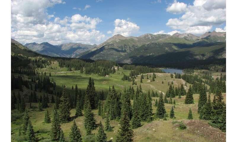 Even untouched ecosystems are losing insects at alarming rates, new ...