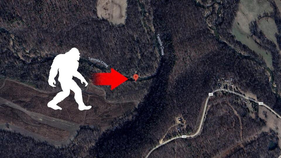 Missouri Trail Cam May Have Snapped Bigfoot Picture - NewsBreak
