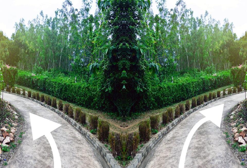 Do humans truly have free will? New quantum experiment will find the ...