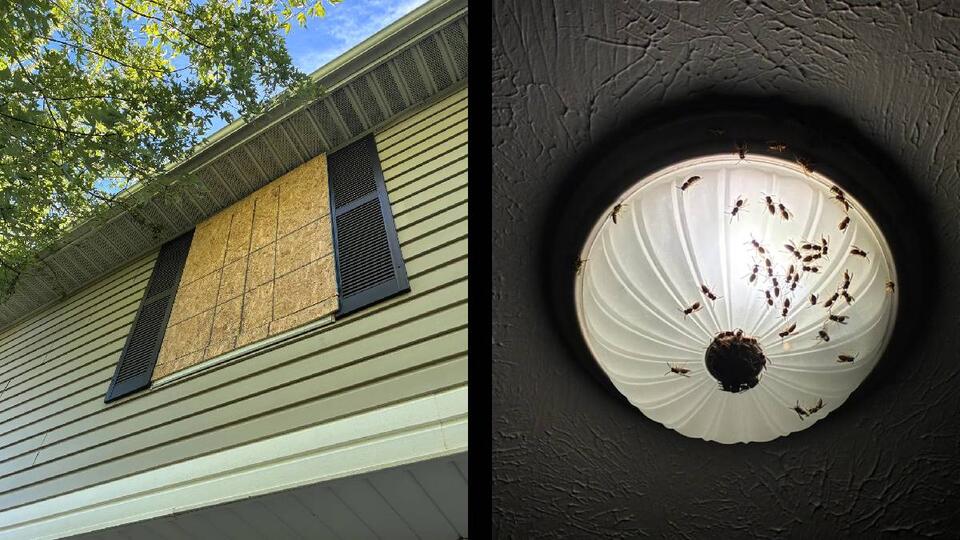 Negligent Indiana Landlord Fix a Window With a Board, but That Opens ...