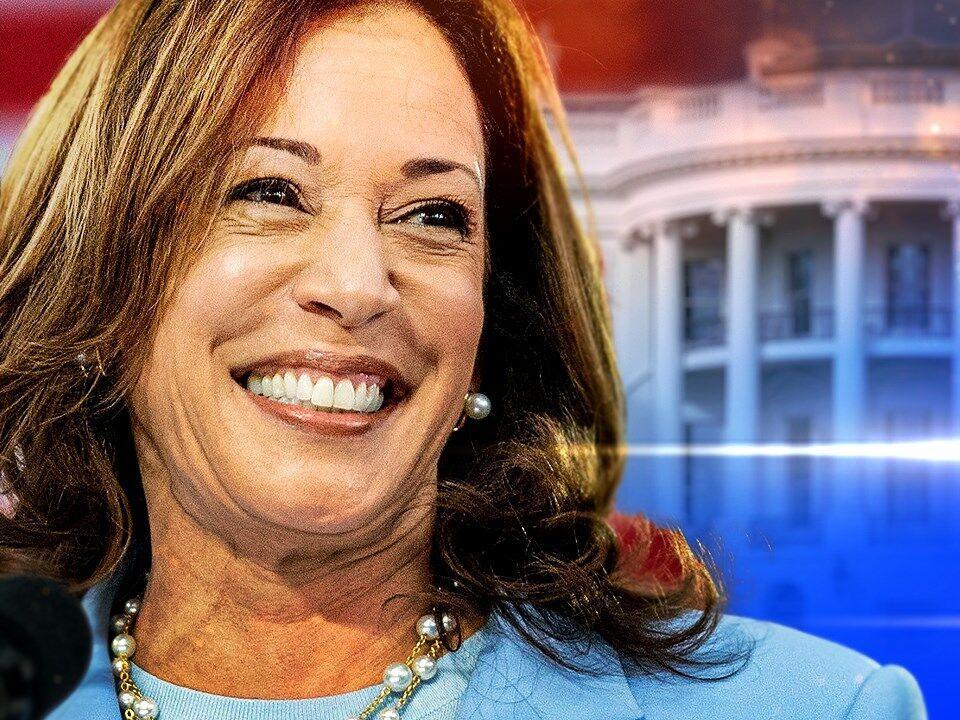 Pa. delegation to the 2024 DNC votes to support Harris for Democratic ...
