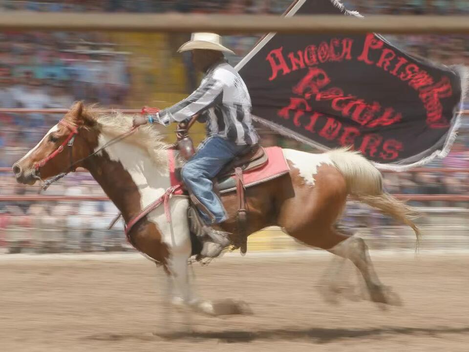 Tickets for spring Angola Prison rodeo go on sale