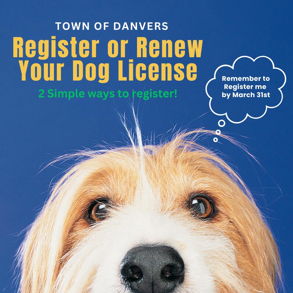 Register of Renew your Dog License - NewsBreak