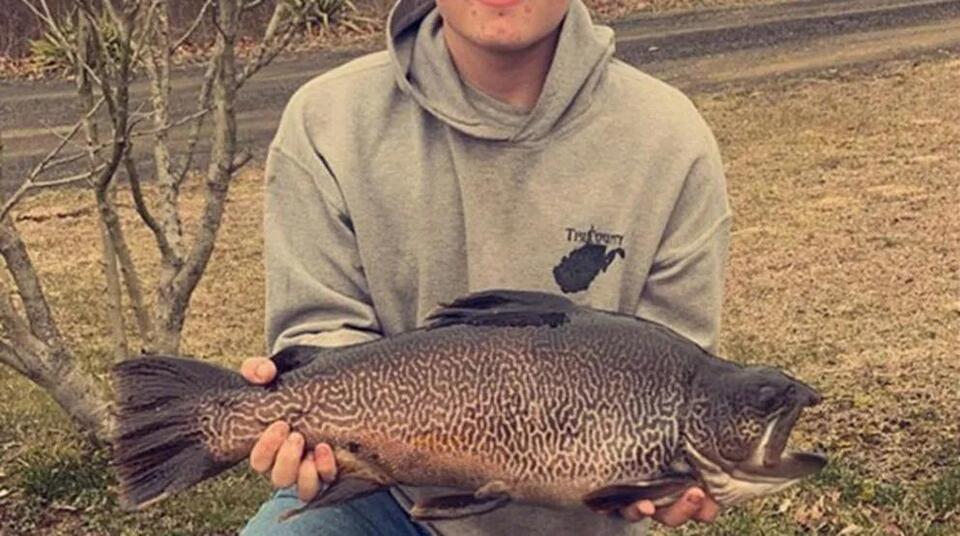 16 Year Old Shatters West Virginia Tiger Trout State Record - NewsBreak
