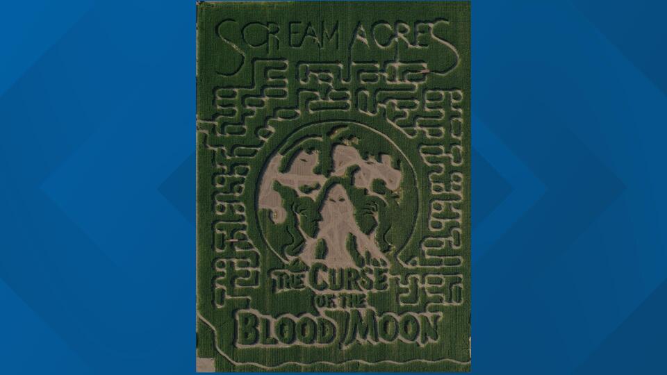 Northern Colorado farm unveils massive corn maze - NewsBreak