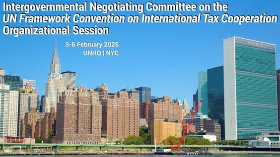 (1st meeting) Intergovernmental Negotiating Committee on the United ...