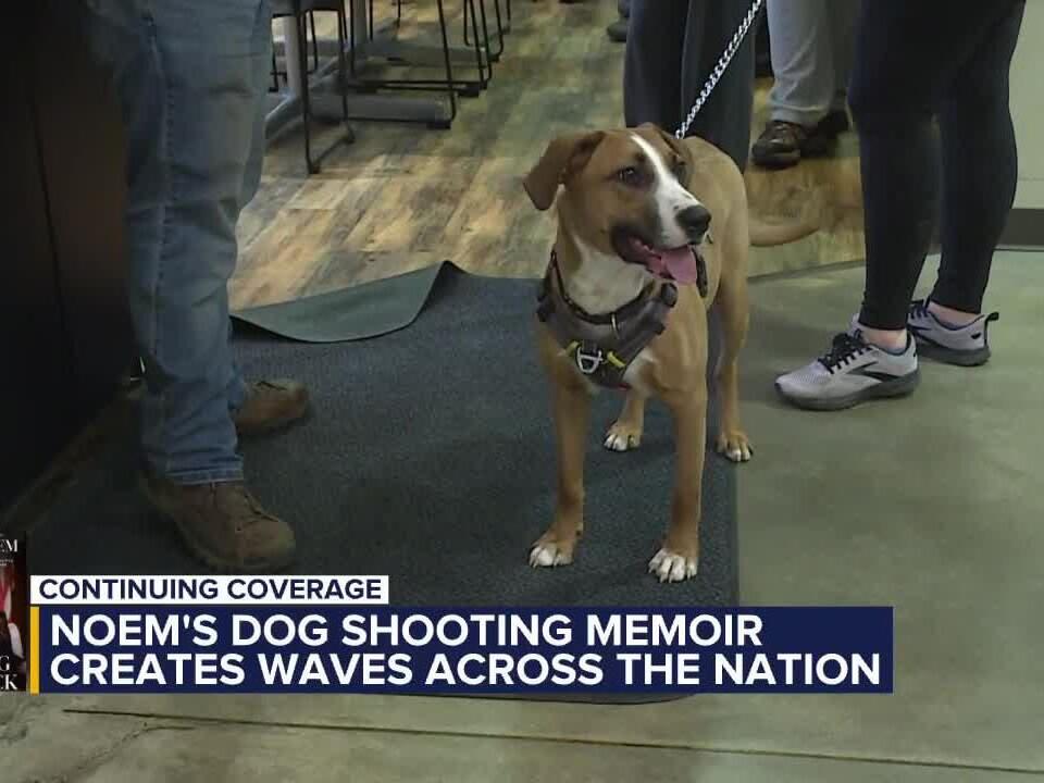 Noem’s dog shooting story creates waves across the nation