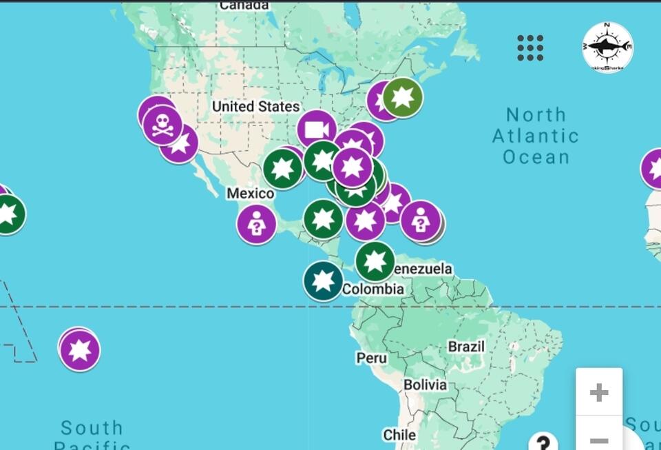 2026 Shark Attack Map - NewsBreak