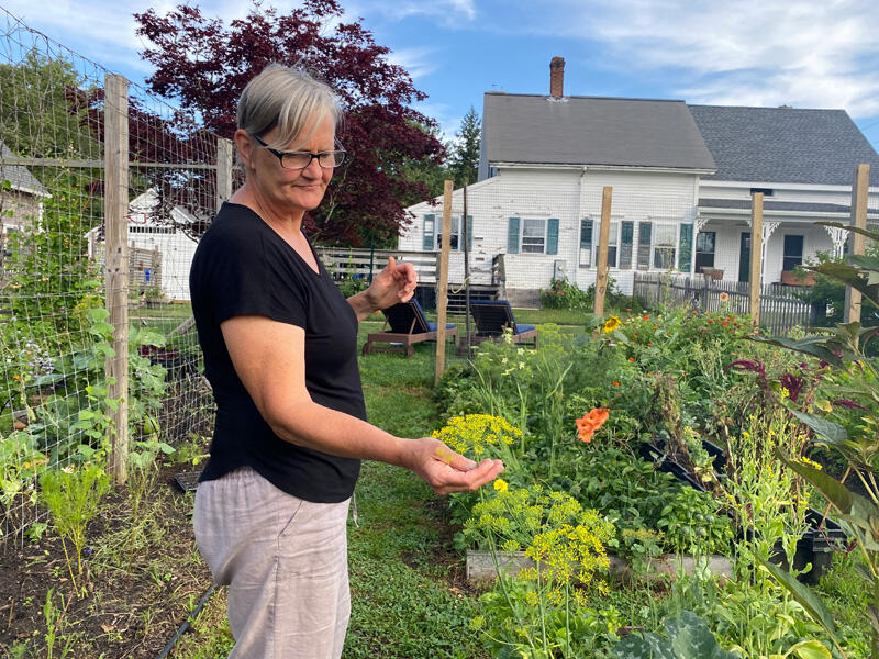 Chilmark select board chair not seeking re-election - NewsBreak
