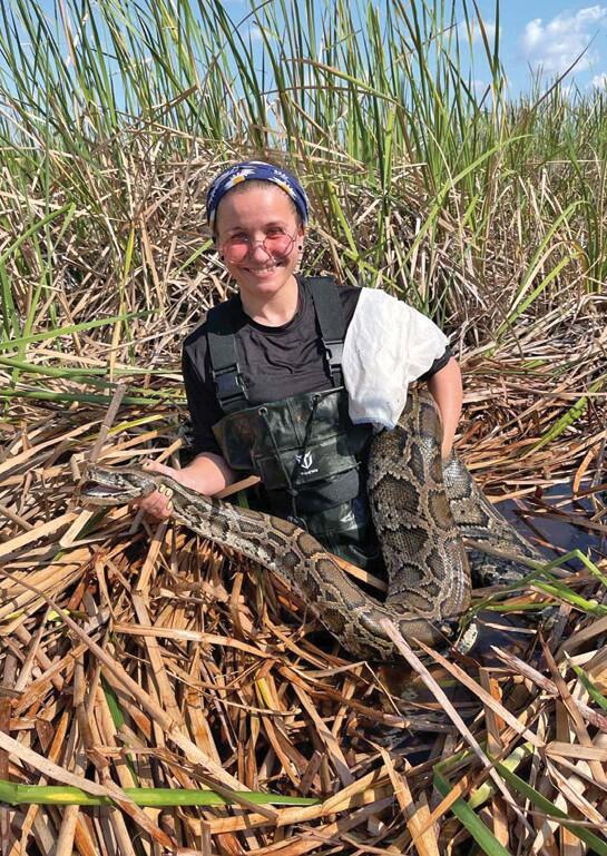 It’s breeding season for pythons - NewsBreak