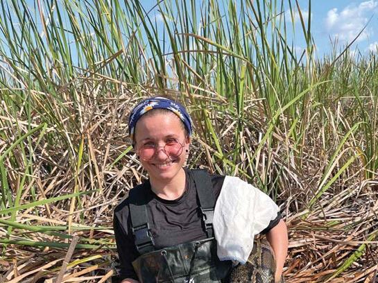 It’s breeding season for pythons