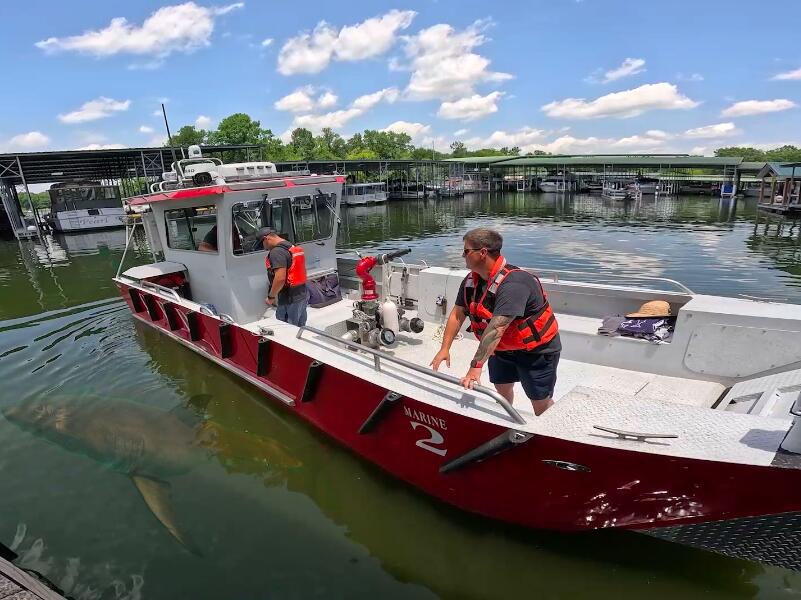Tennessee’s First Great White Shark Found in Old Hickory Lake - NewsBreak