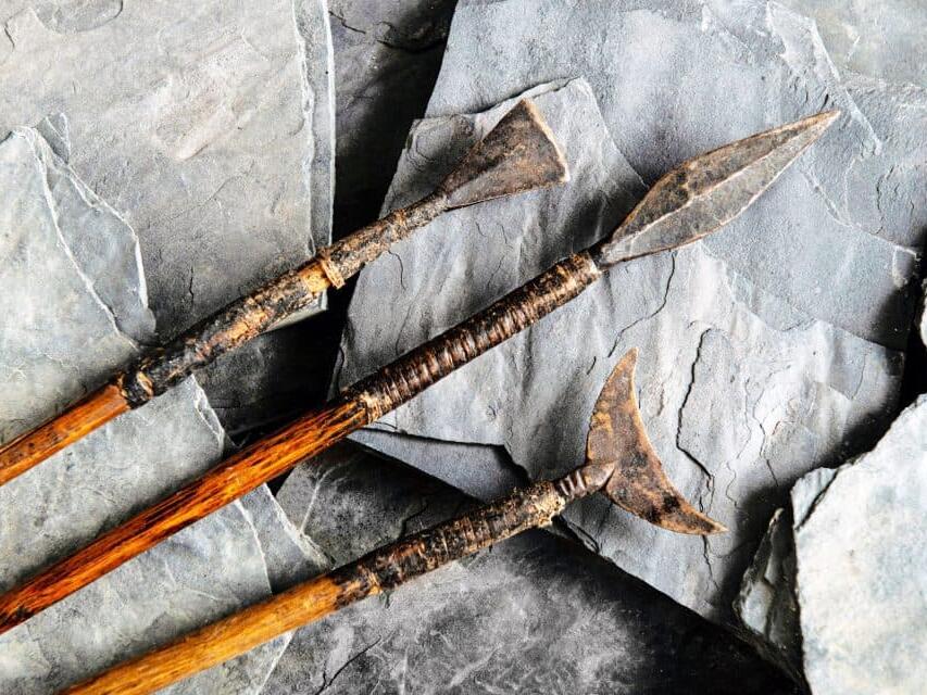 400,000-year-old stone tools show technological adaptations of ...