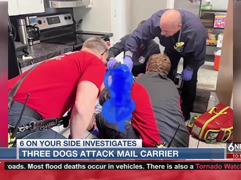Dogs attack Papillion mail carrier