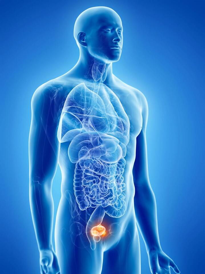TAR-210 Delivers Early Efficacy in FGFR-Altered Bladder Cancer - NewsBreak