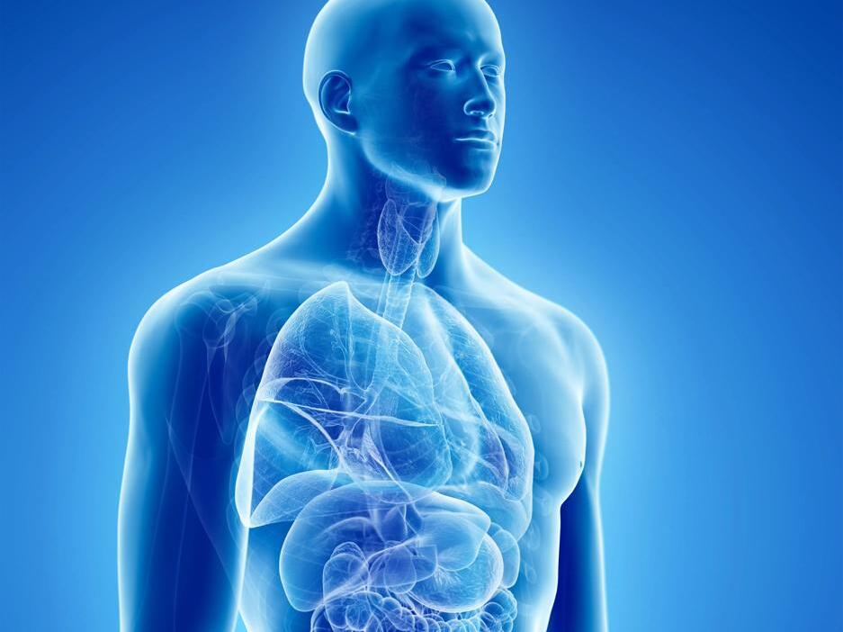 TAR-210 Delivers Early Efficacy in FGFR-Altered Bladder Cancer